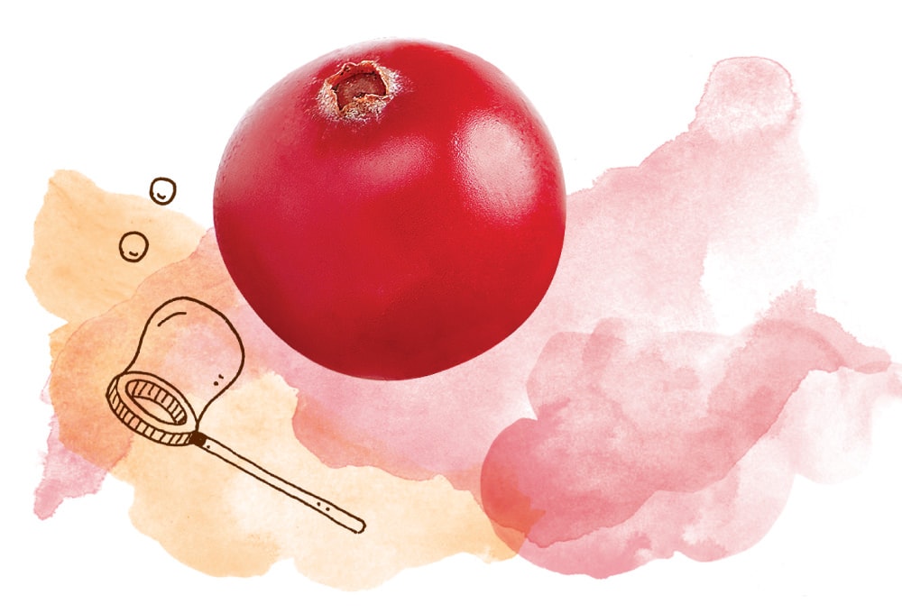 Robin Kurtz, Chez Valois - Les Délices de Michèle - World Brand Design ...