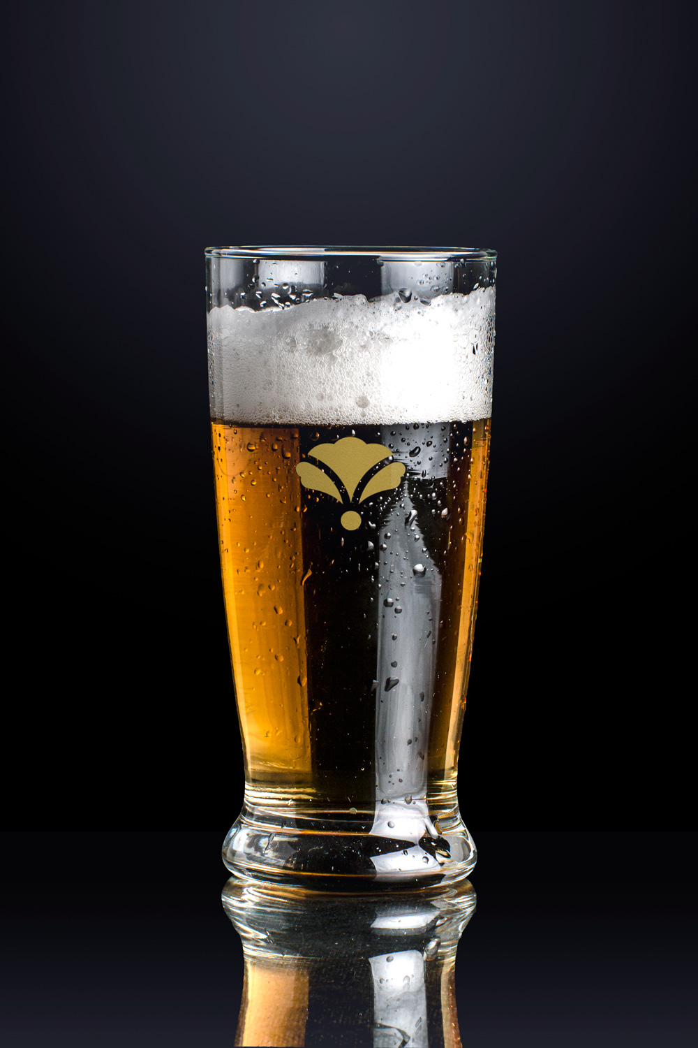 A Nashville's Premium Homestyle IPA Gets a Brand and Packaging Design ...