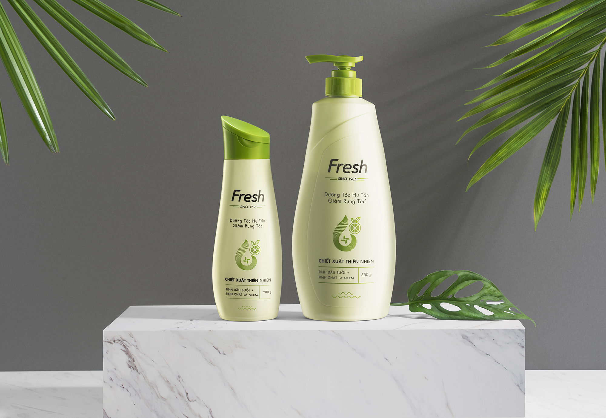 Bratus Agency - Dau Goi Fresh - World Brand Design Society