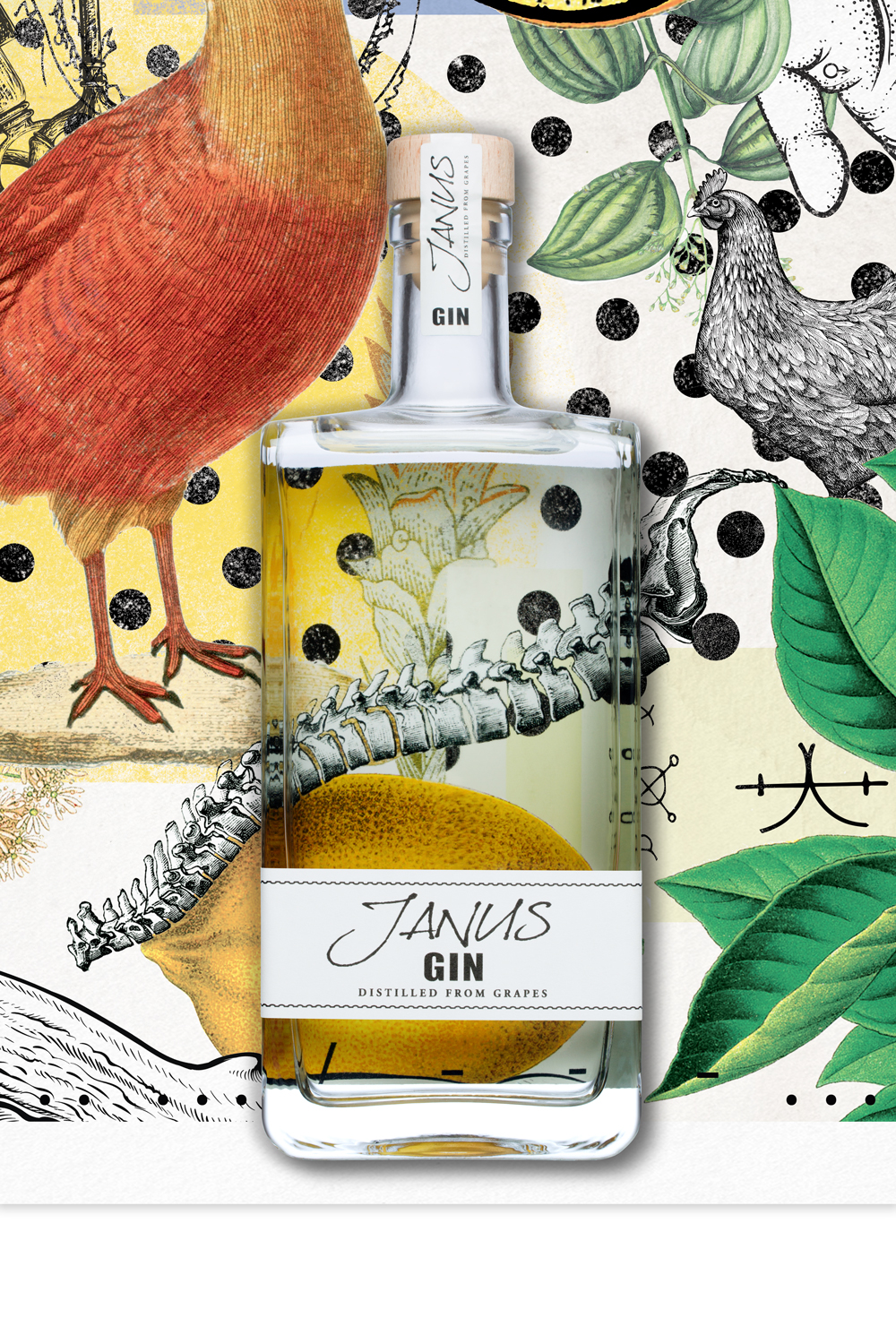 Perfect Packaging for a Mystical Spiritual and Vibrant Botanical Gin ...