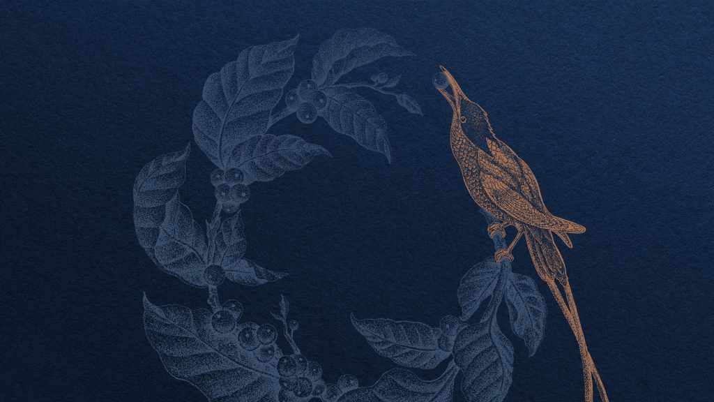 MetaDesign China - Moved by Coffee - ORIGO Coffee - World Brand Design ...