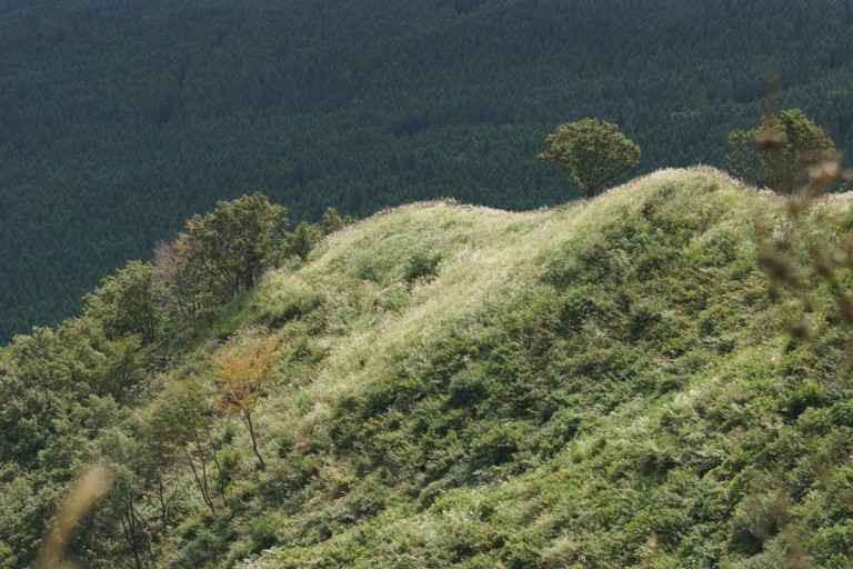 FIL Brand Design for Furniture and Fragrances - World Brand Design Society