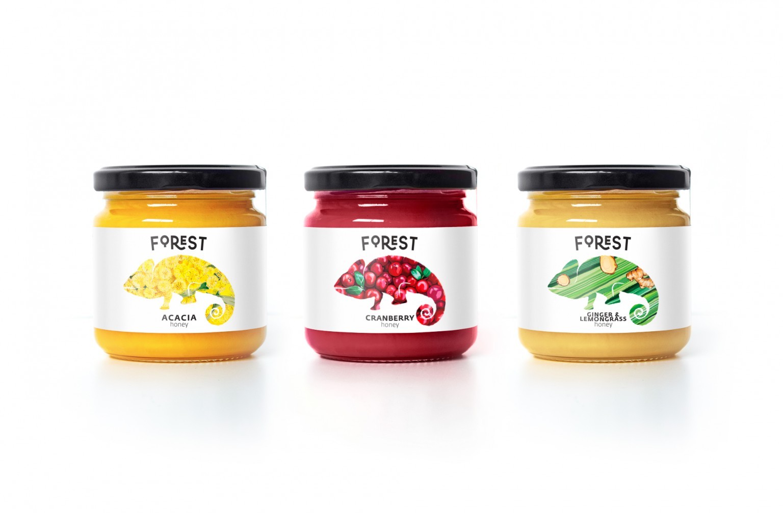 Forest Goods Brand Identity and Packaging Design by Room.11 Agency ...