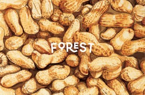 Forest Goods Brand Identity and Packaging Design by Room.11 Agency ...
