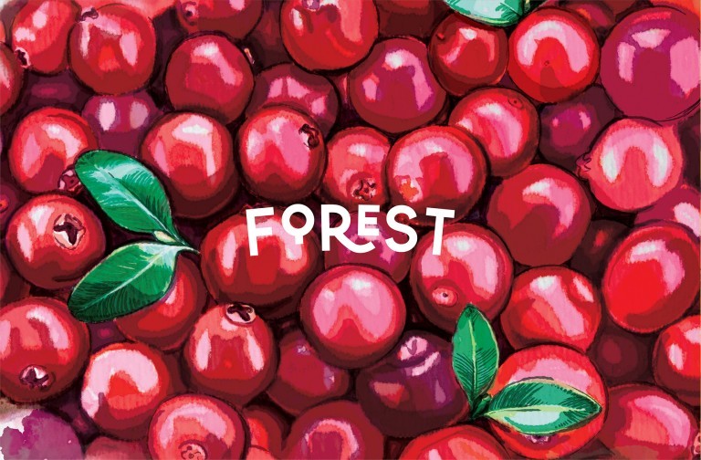 Forest Goods Brand Identity and Packaging Design by Room.11 Agency ...