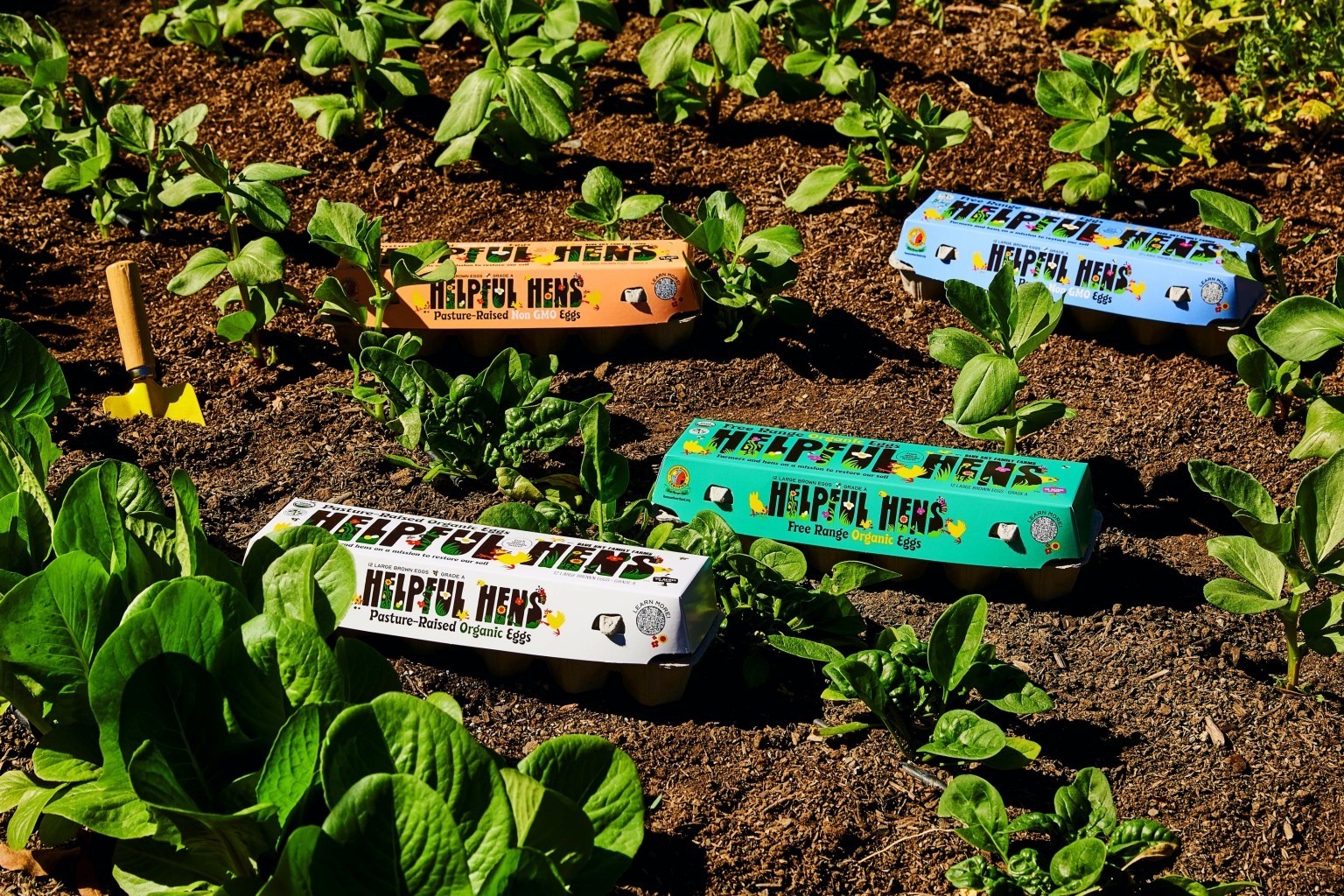 Helpful Hens Branding and Packaging Design by Designsake Studio - World ...