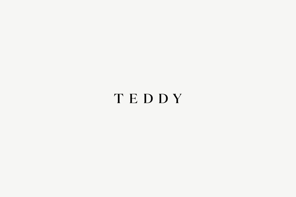 Brand Redesign for Teddy Baldassarre - World Brand Design Society