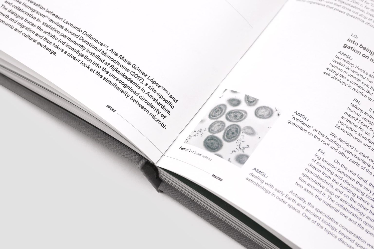 Loss/Link Graphic Design for Publication - World Brand Design Society