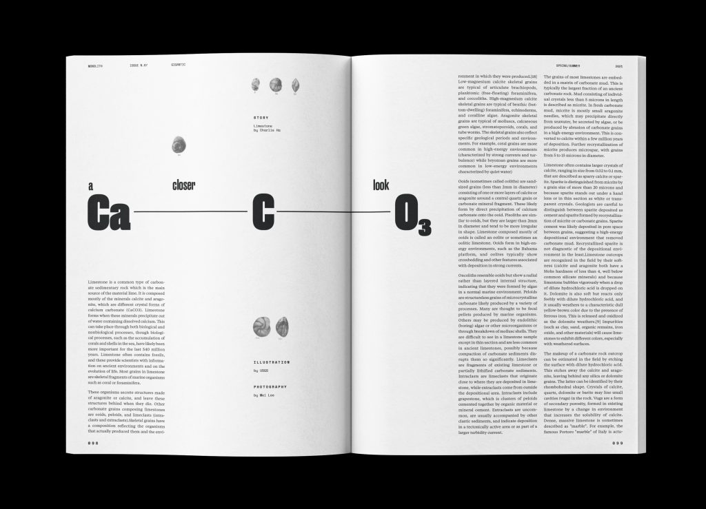 Monolith Graphic Design for Publication - World Brand Design Society