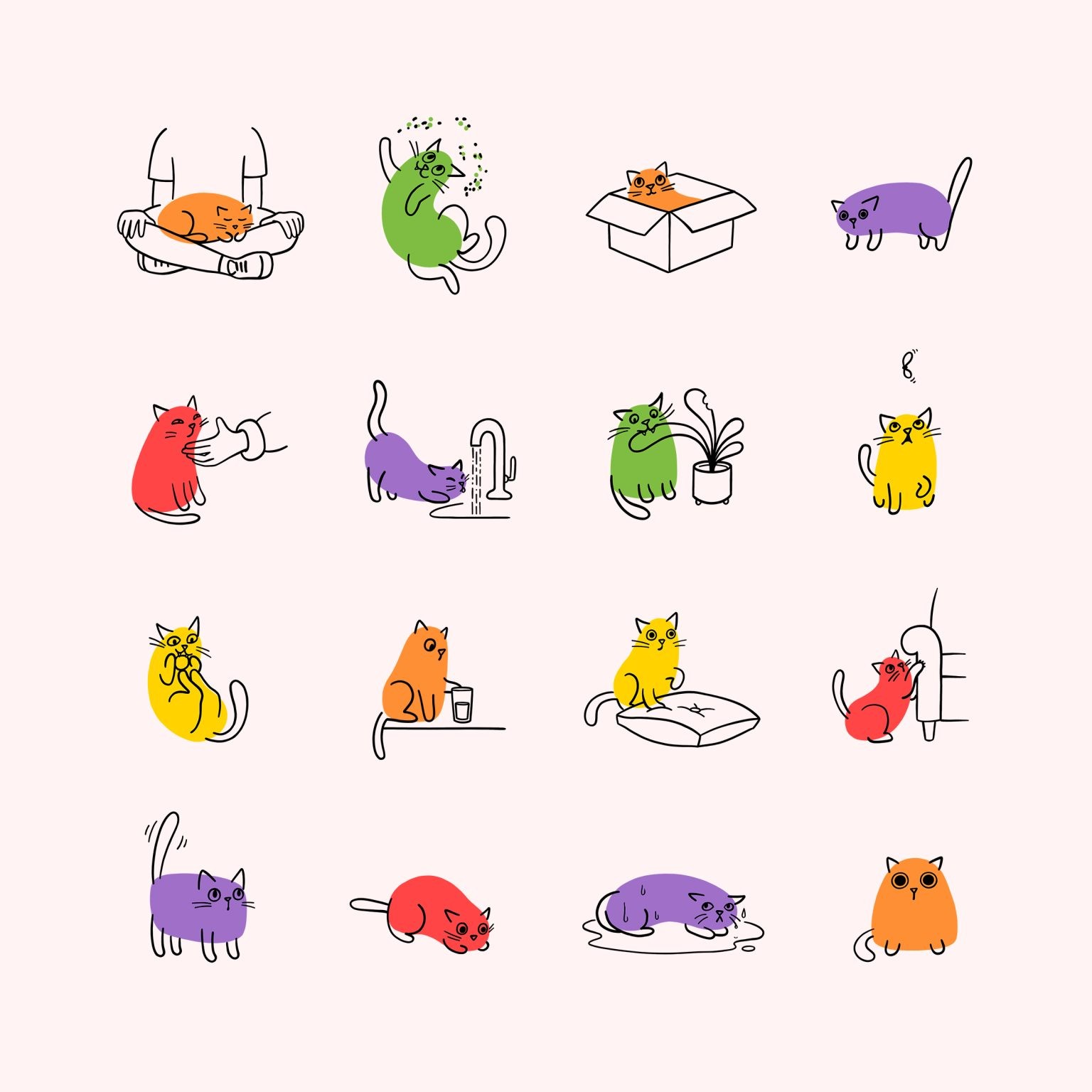 Why Does My Cat...? Student Digital Design Creation - World Brand ...