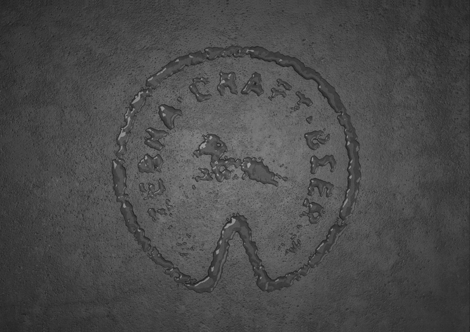 Zebra Beer Typography for Packaging Design - World Brand Design Society