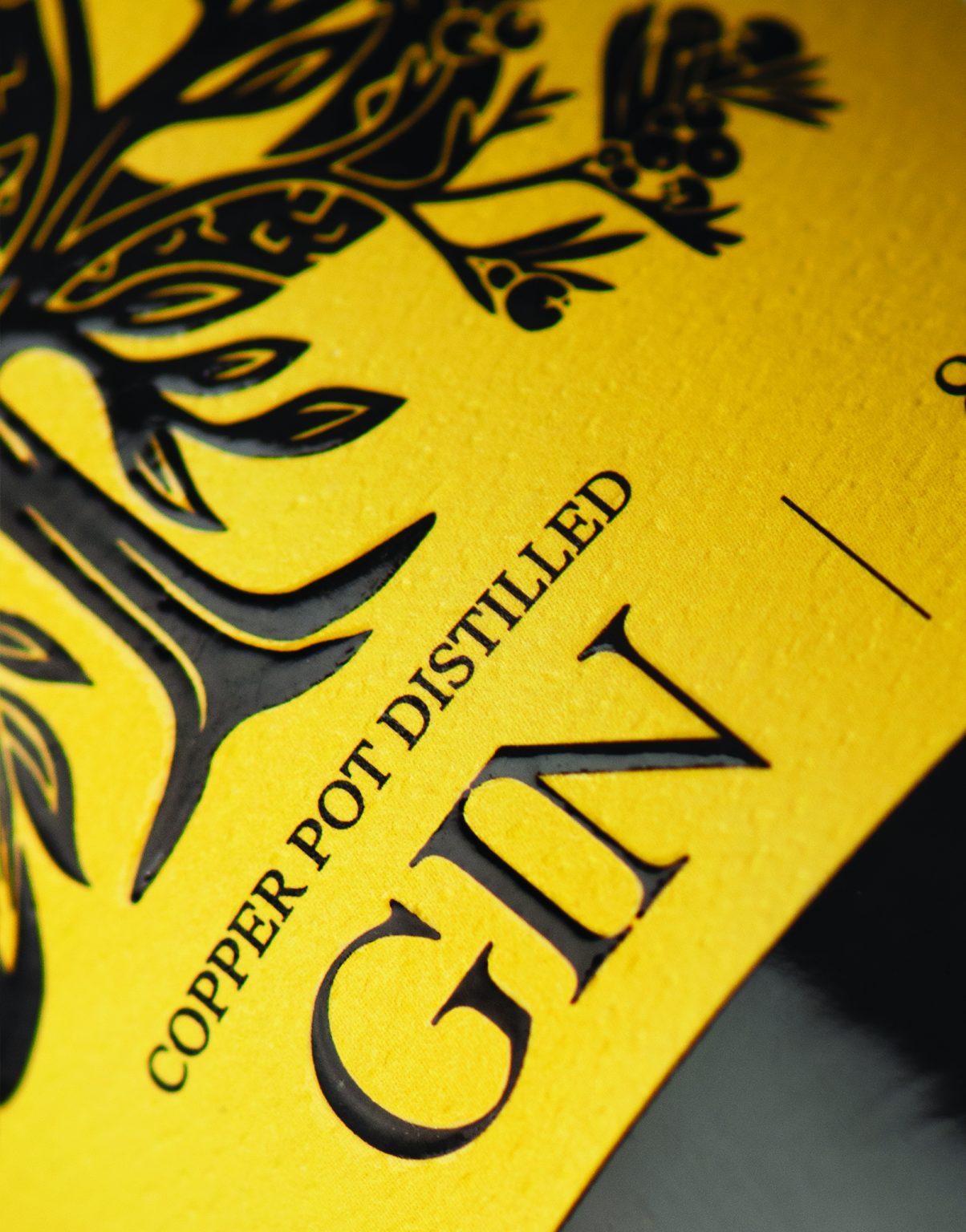 Feather & Folly Gin Naming, Packaging & Logo Design - World Brand ...