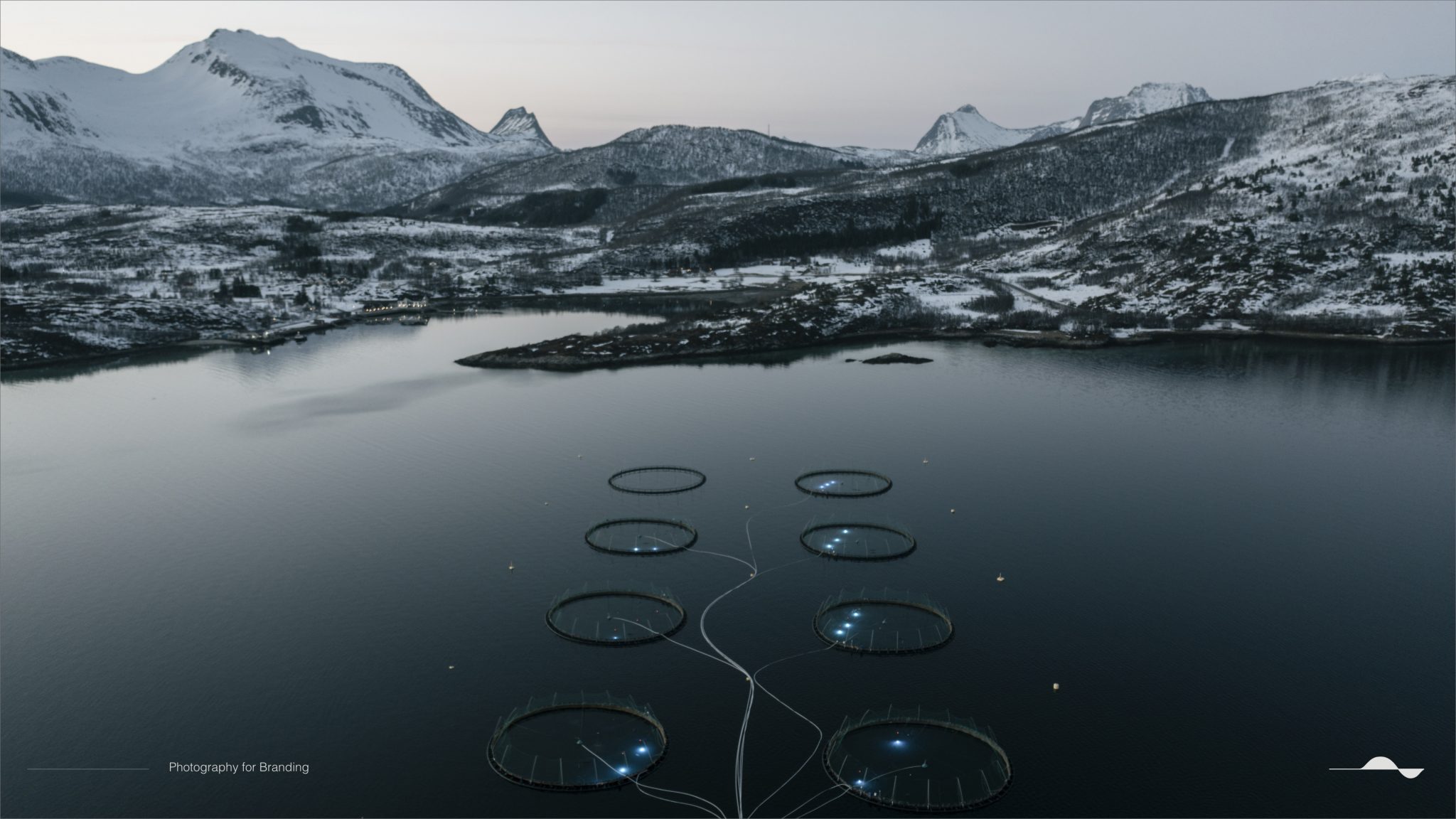 Stingray Photography for Identity - World Brand Design Society