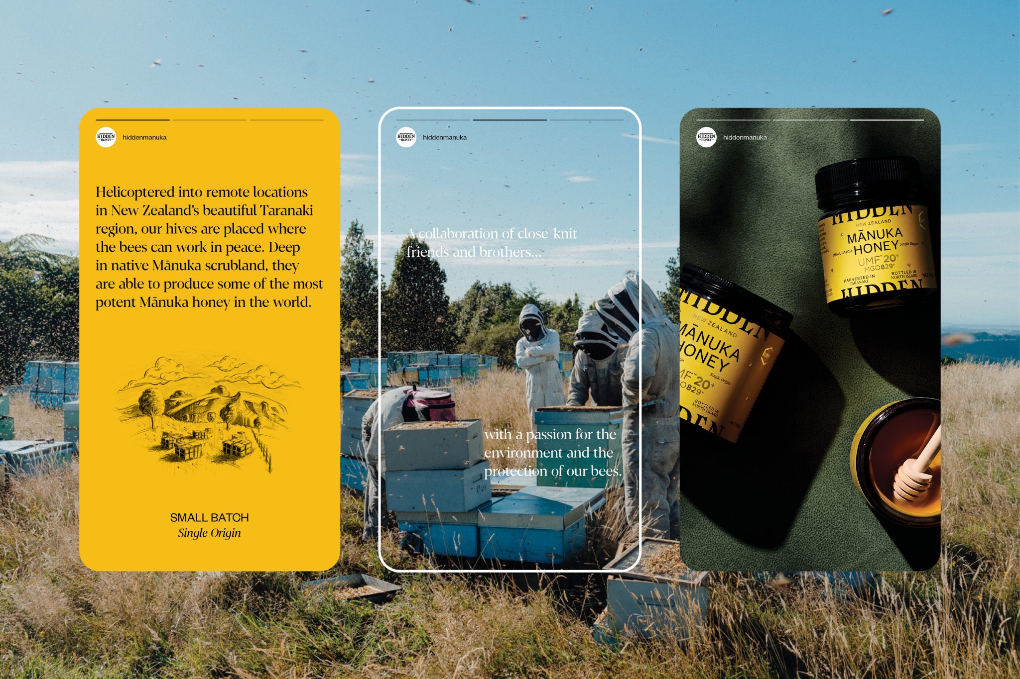 Hidden Honey Packaging Design by Onfire Design - World Brand Design Society