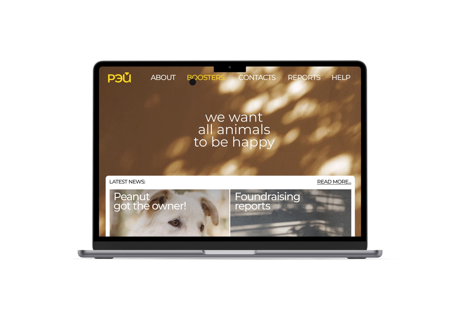 RayFond - Ray of Light Brand Redesign - World Brand Design Society