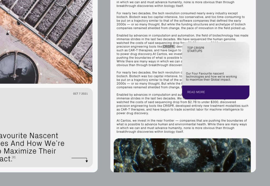 Play Studio Creates Brand Redesign for Cantos - World Brand Design Society