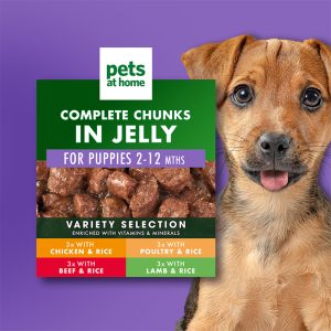 R Design Creates Pets At Home Redesign - World Brand Design Society