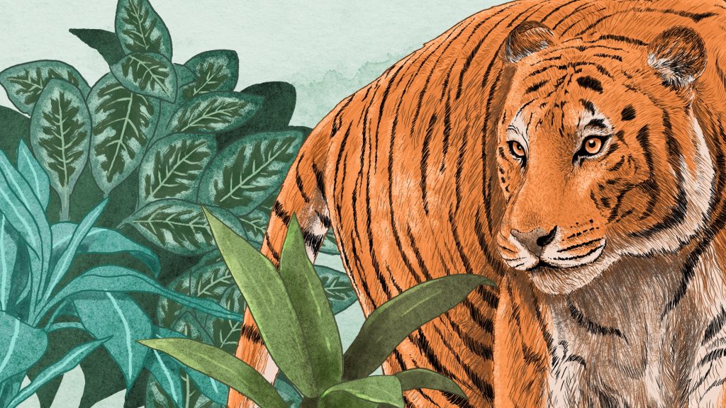 Tanishq USA Boxes Packaging Design - World Brand Design Society