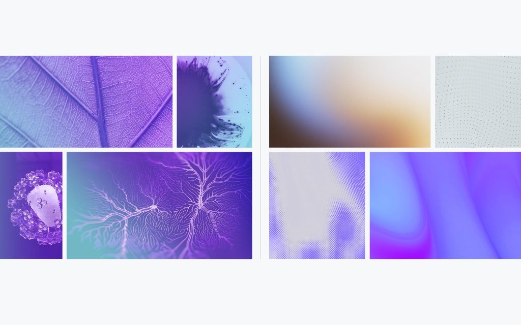 Medable 3.0: A Robust Design System For A Visionary Clinical Trials ...