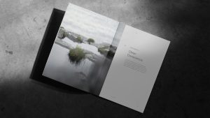 Branding "Veer" the World’s first Efficient, Emission-free Cargo Fleet ...