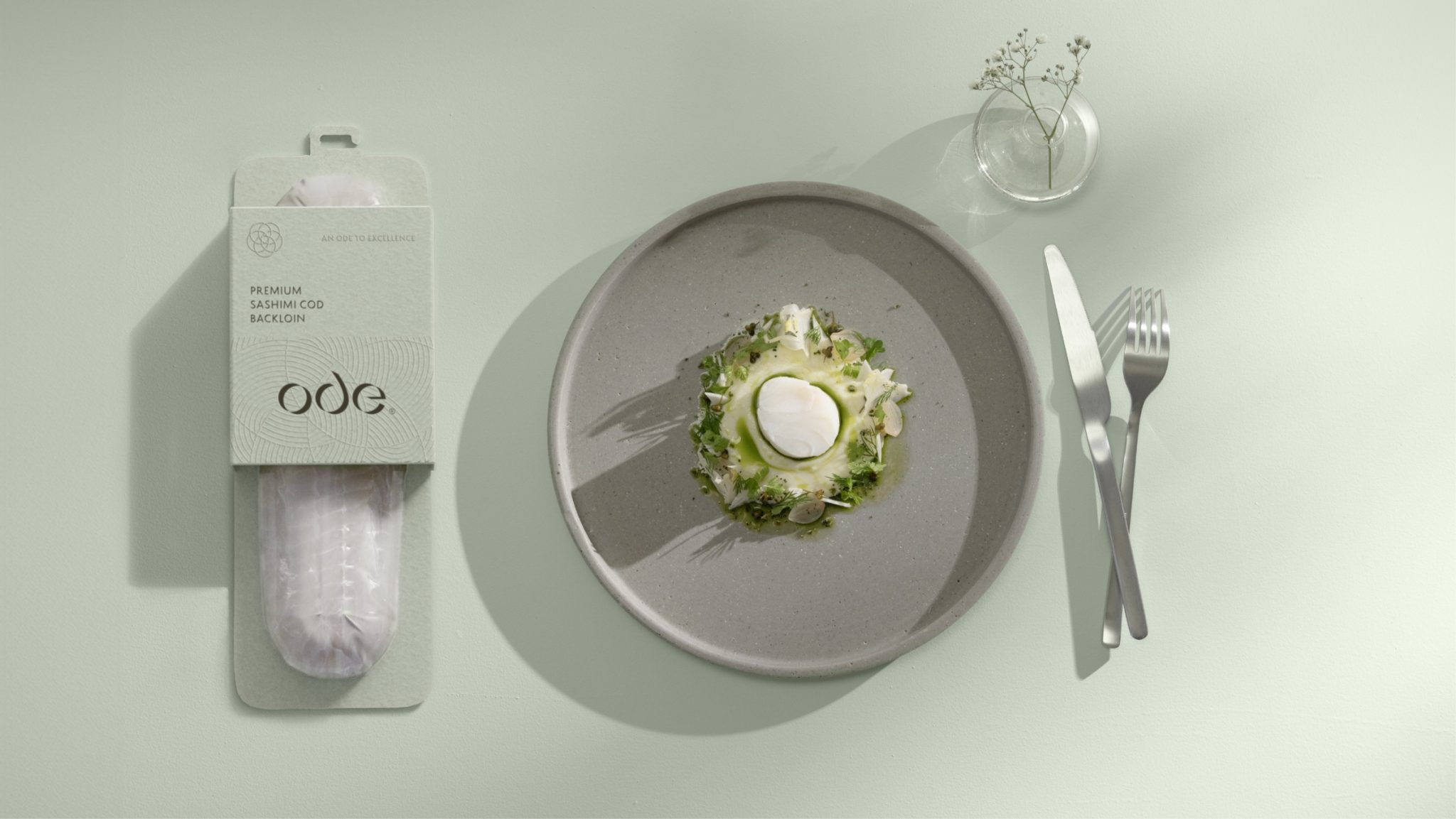 Ode Cod Packaging – An Ode to Elegance and Excellence - World Brand ...