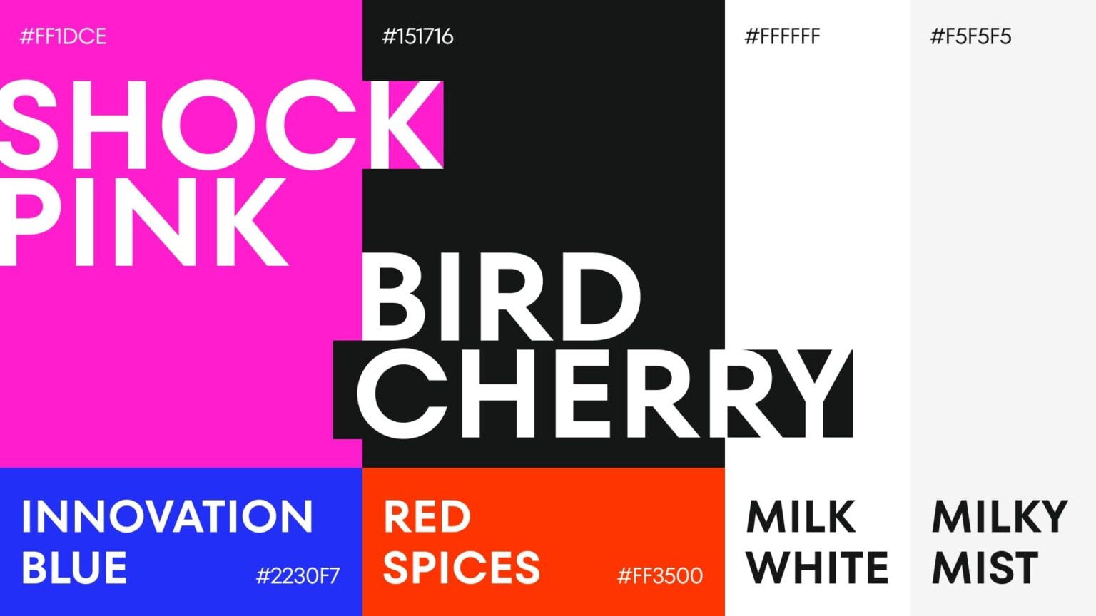 Moloko Rebranding: Font, Shock Pink Color and Positioning Branding ...