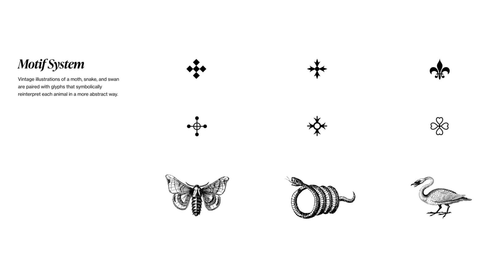 Gizelle Farinas Translates Gothic Influence Into a Contemporary Tea ...