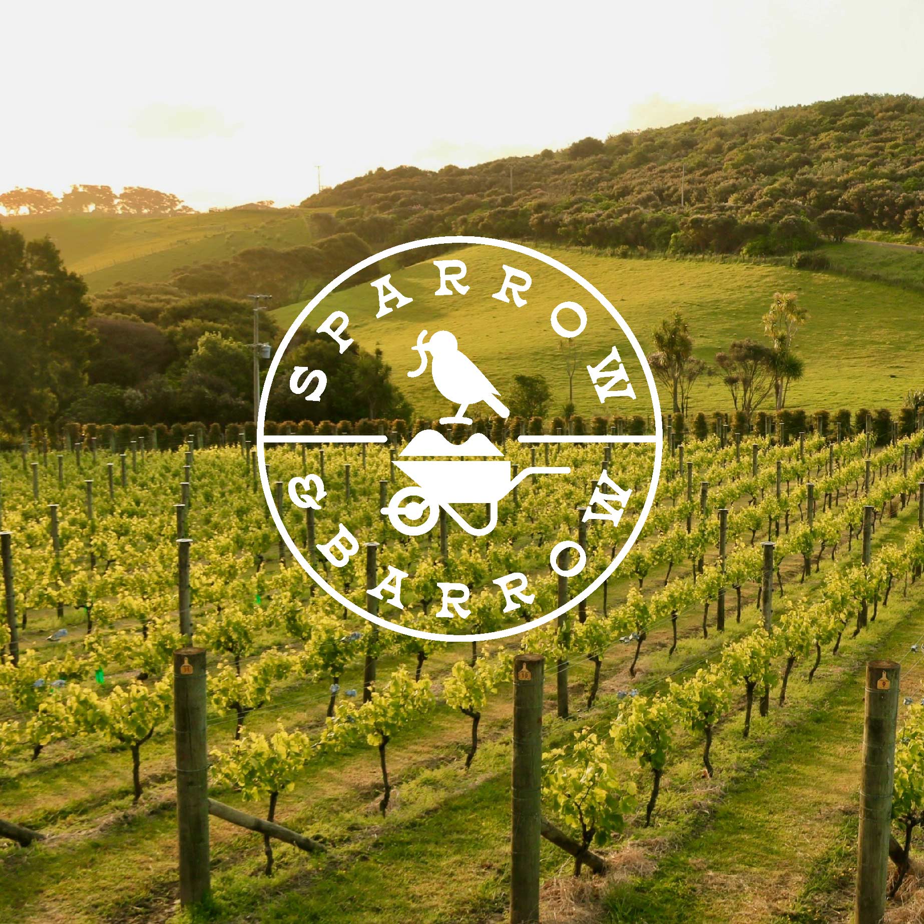 Creative Platform Introduces Sparrow & Barrow as a Nature Led ...