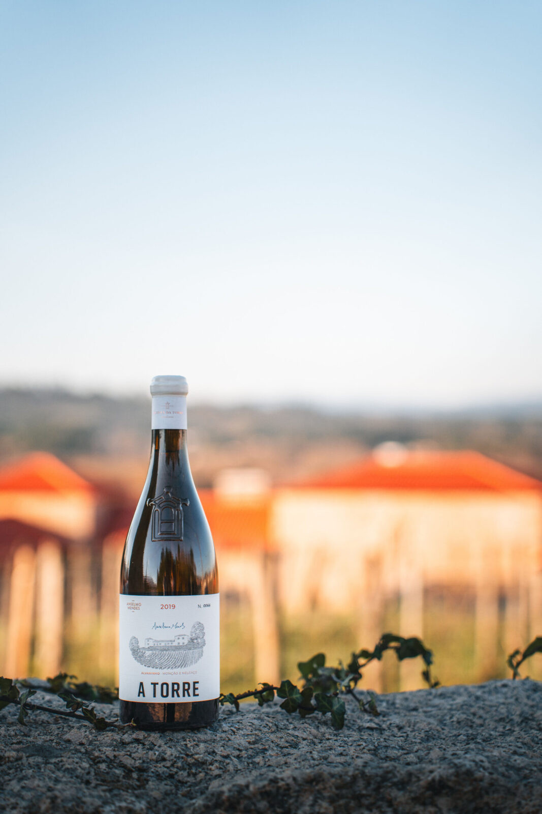 Omdesign Introduces a Collectible Label Design for Anselmo Mendes’ A ...