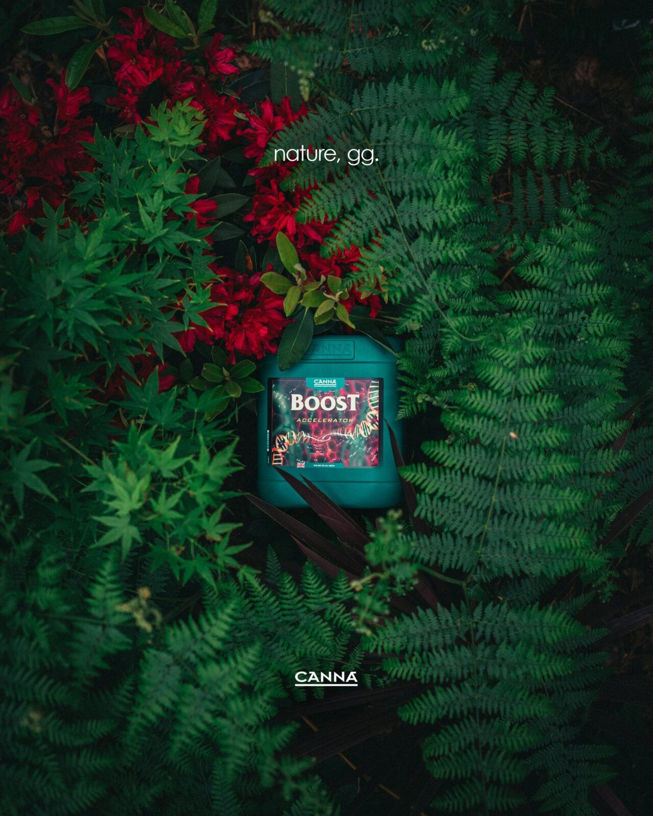 PinPoint Media Turns CANNA Nutrients Into a Hero Brand for Modern ...