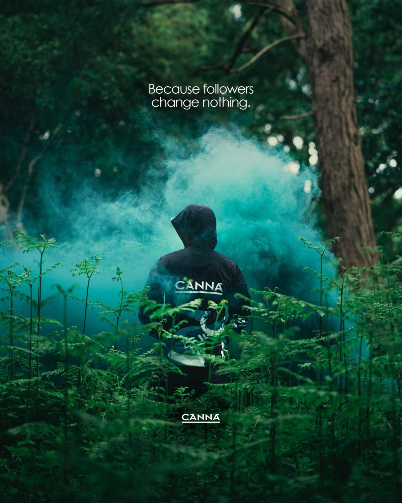 PinPoint Media Turns CANNA Nutrients Into a Hero Brand for Modern ...