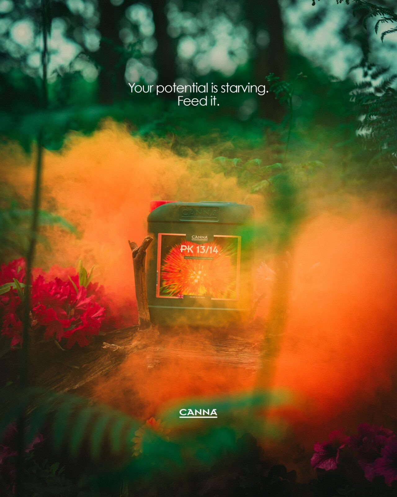 PinPoint Media Turns CANNA Nutrients Into a Hero Brand for Modern ...